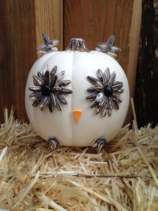 50 Owl Decorating Ideas For Your Home | Ultimate Home Ideas