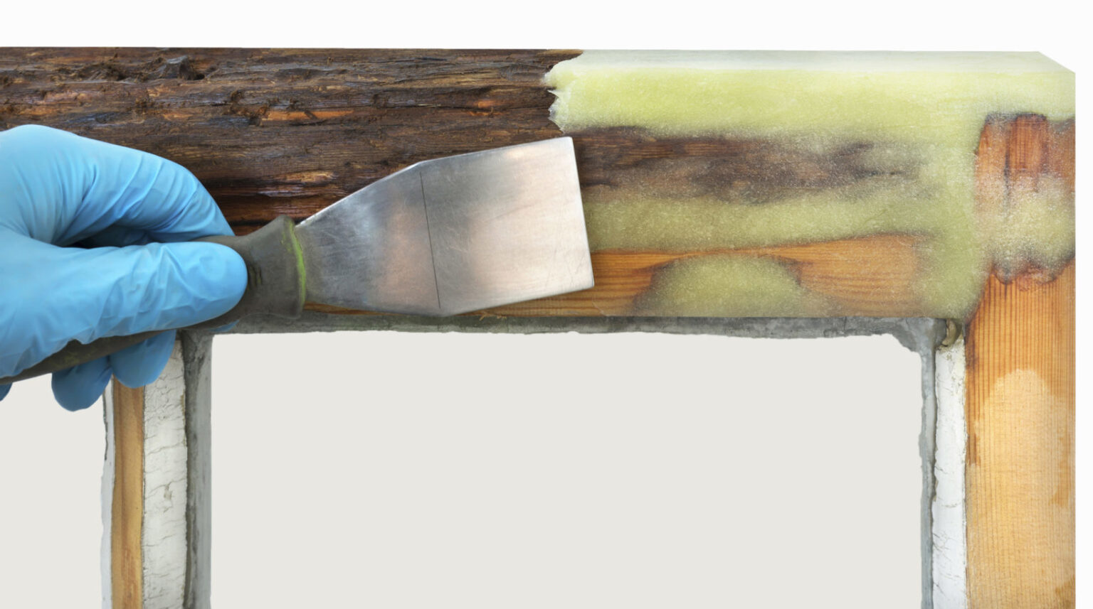 5 Tips For Repairing Damage From Dry Rot - Ultimate Home Ideas